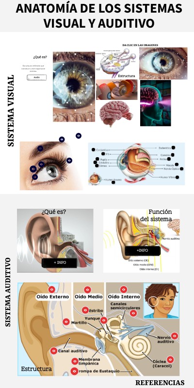 Sistema Visual y Auditivo