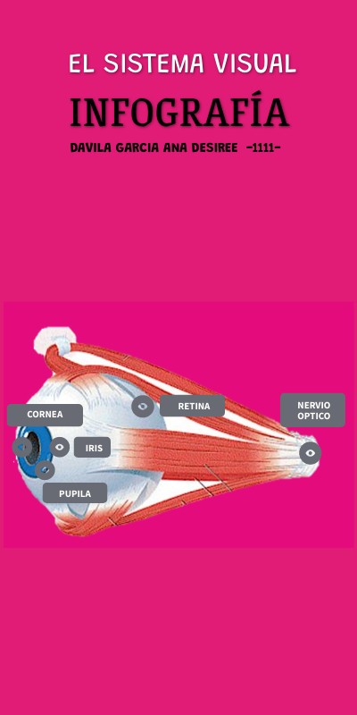 Sistema Visual infografía | Genially