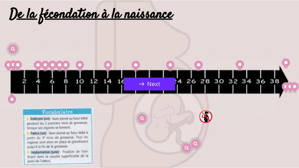 De la fécondation à la naissances - étapes | Genially