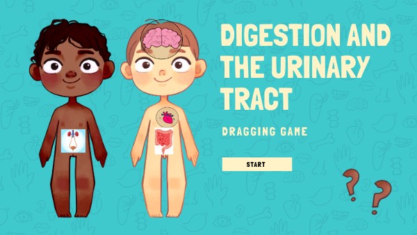 Urinary Tract