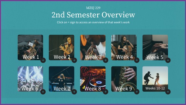 MZSJ 229 Semester Overview