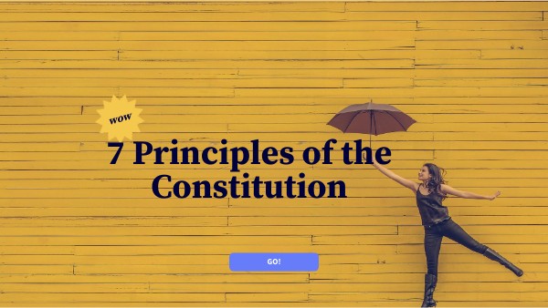 7 Principles of the Constitution
