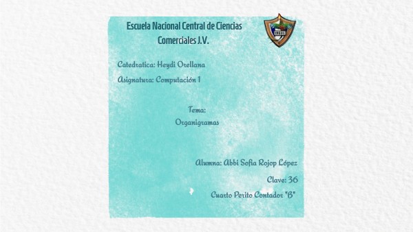 4B Rojop Abbi - Organigramas