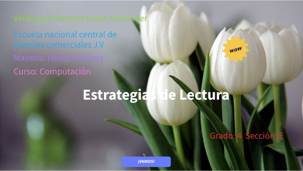 PRESENTACIÓN LAS 12 ESTRATEGIAS DE LA LECTURA