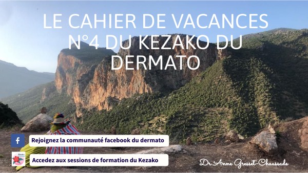 Le cahier de vacances du Kezako 4 | Genially