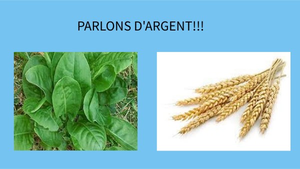 Copie - GENIAL PRESENTATION | Genially