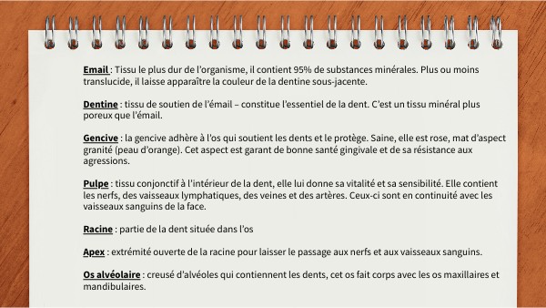 Copie - Copie - Copie - BASIC PRESENTATION