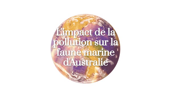 POLLUTION PRESENTATION | Genially