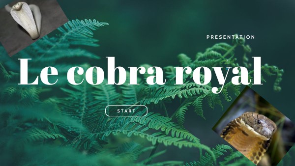 NATURE PRESENTATION