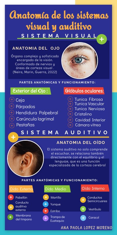 SIST. VISUAL Y AUDITIVO