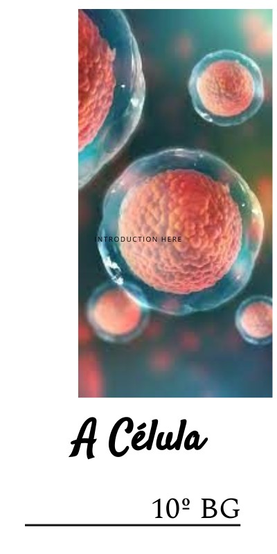 CELULA INFOGRÁFICO | Genially