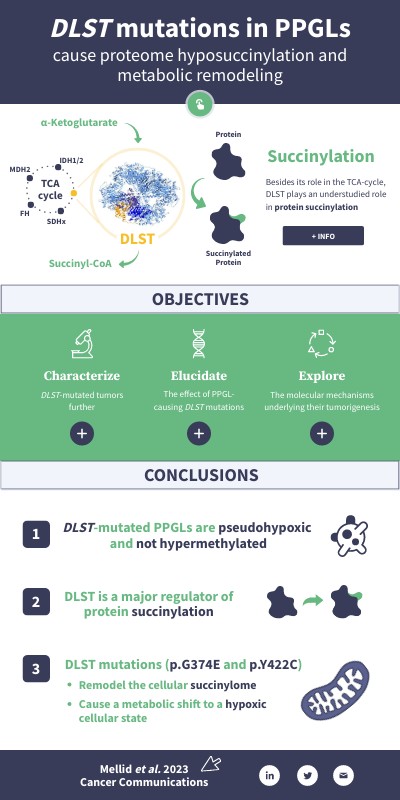 DLST mutations in PPGLs