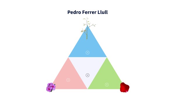 Diagrama triángulo II