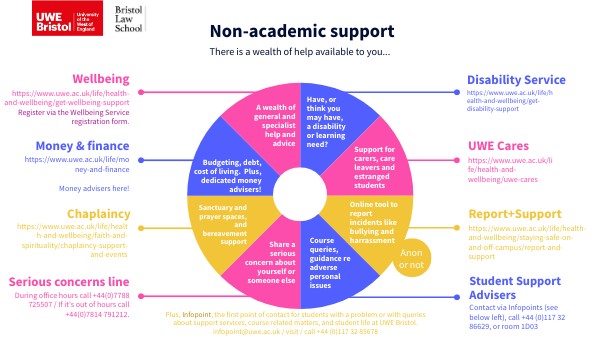 BLS Non-academic Support options