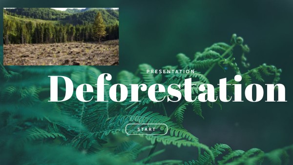 NATURE PRESENTATION | Genially