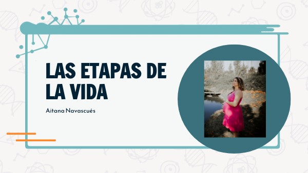 Etapas de la vida | Genially