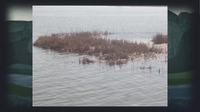 WATER VIDEO