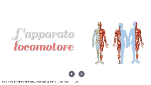 APPARATO LOCOMOTORE