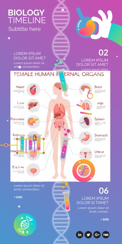 BIOLOGY VIBRANT TIMELINE