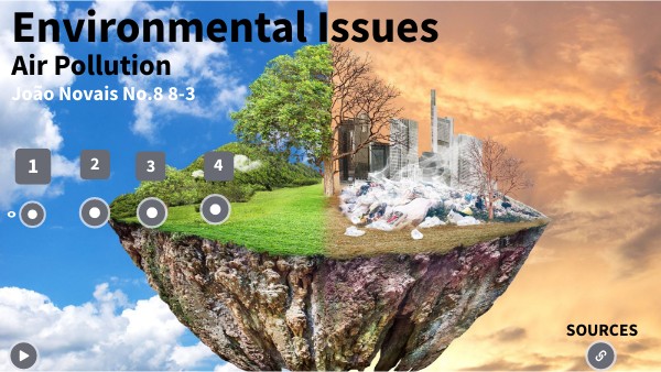 Environmental Issues. João Novais 8-3 No.8