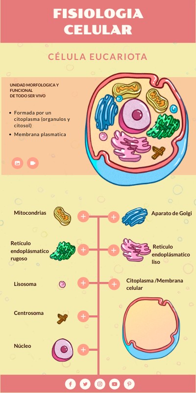Fisiología Celular | Genially