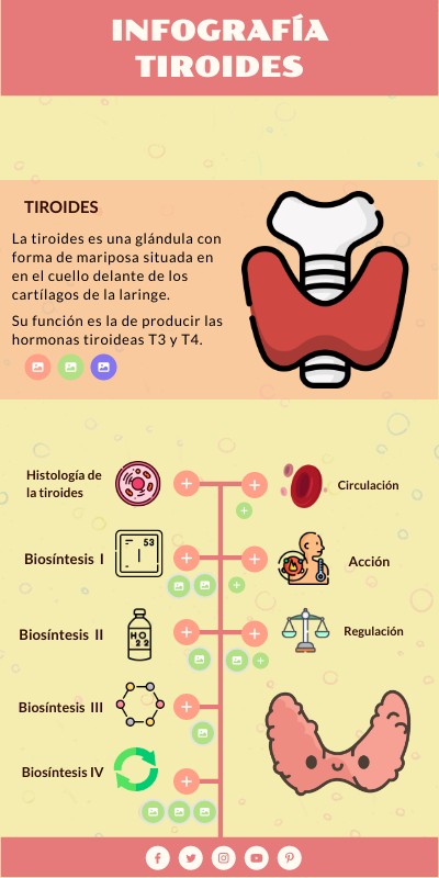 Infografía Tiroides | Genially
