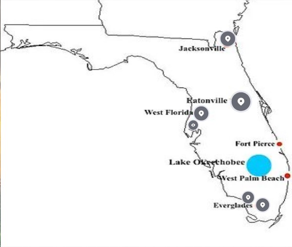 Their Eyes Were Watching God- Janie's Journey.