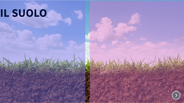il suolo