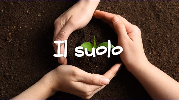 Il suolo