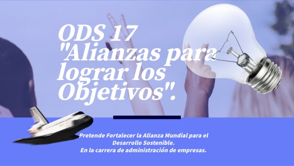 ODS número 17