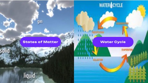 Interactive Water Cycle Notes
