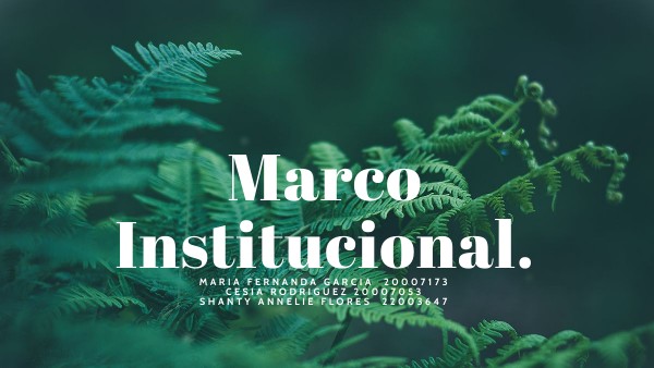 Marco Institucional.