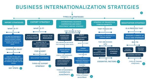 BUSINESS INTERNATIONALIZATION STRATEGIES