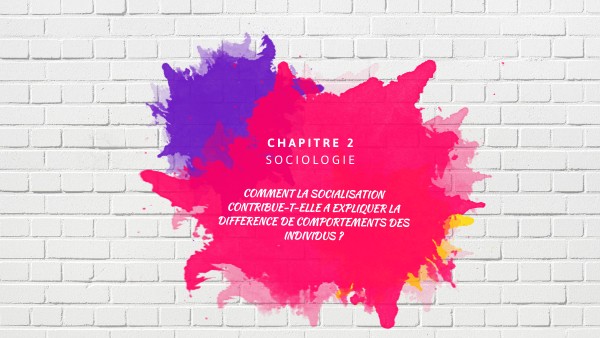 Chapitre 3 : La socialisation