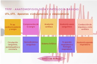 ABP-UT4,5. APARATO CARDIORRESPIRATORIO_Productos | Genially