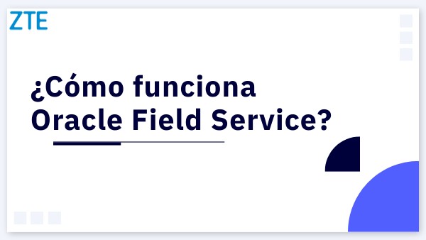 ORACLE FIELD SERVICE (WFM)