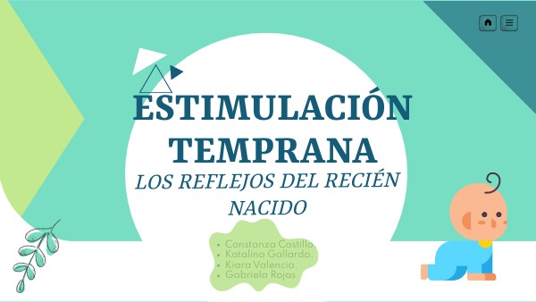 REFLEJOS EN EL RN | Genially