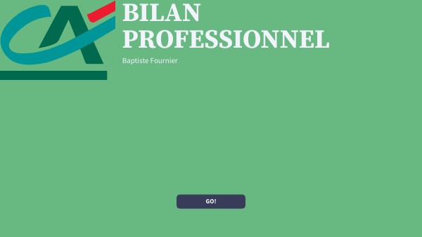 Bilan Pro