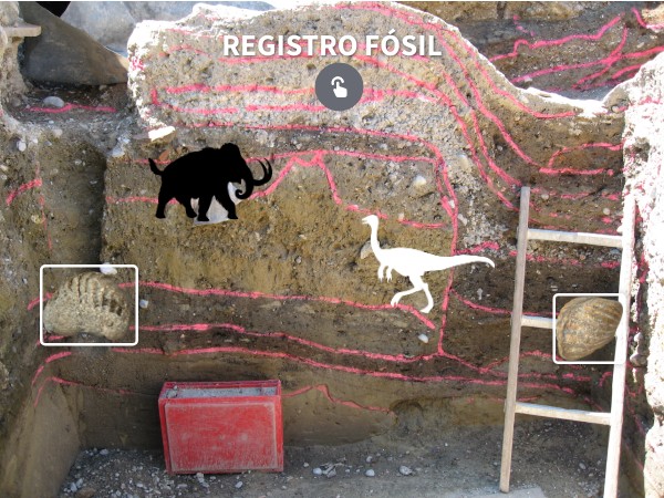 Registro fósil | Genially