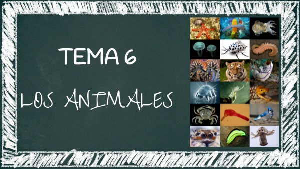 TEMA 6 ANIMALES | Genially