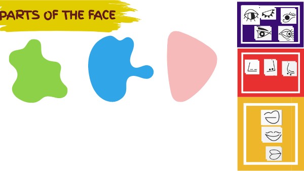 Parts of the face | Genially