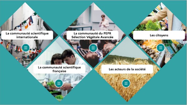 SVA-Animation | Genially