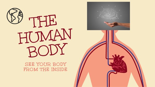 HUMAN BODY PRESENTATION