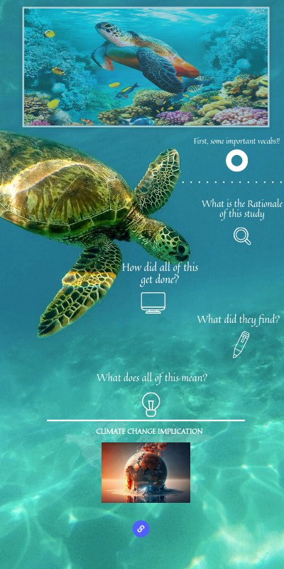Aestivation in Turtle | Genially