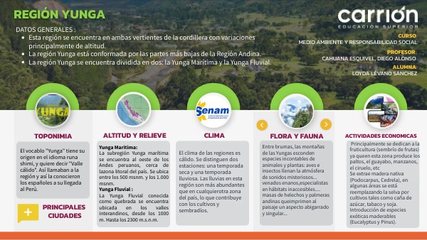 REGION YUNGA | Genially