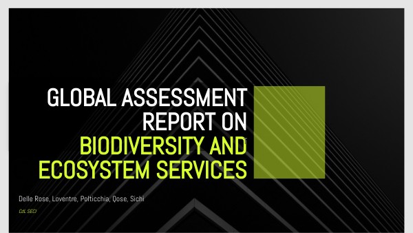 global assessment report | Genially