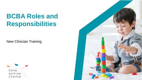 BCBA Roles and Responsibilities
