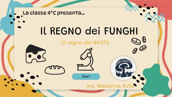 Il REGNO dei FUNGHI 4^C Maggini (AN)