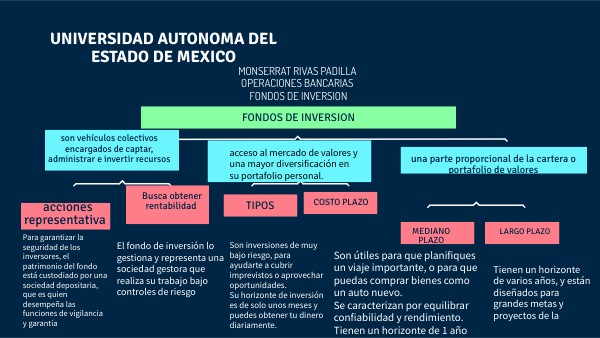 MAPA CONCEPTUAL UNIVERSIDAD