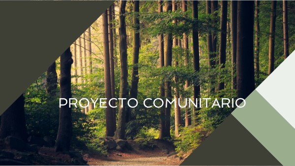 Proyecto comunitario CBTA 82 | Genially